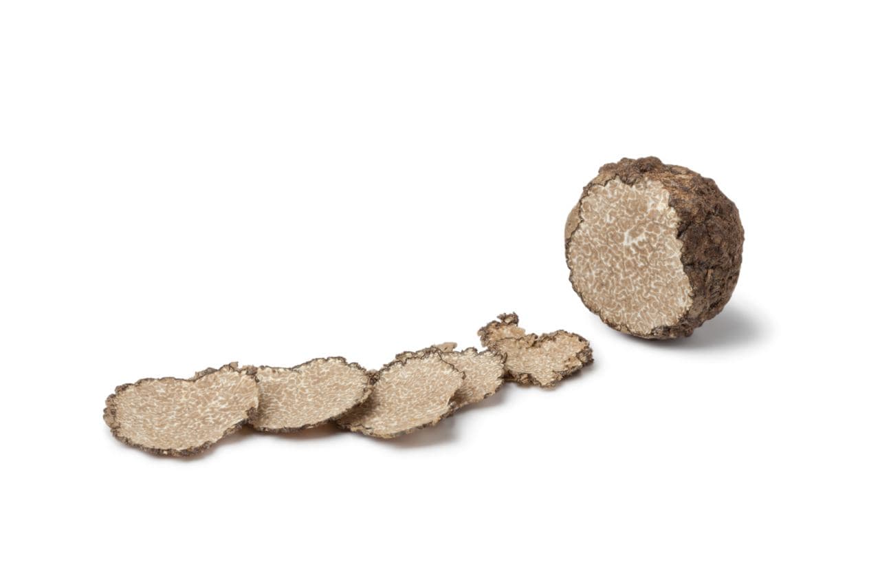 Winter Black Truffle “Tuber melanosporum” from Mallorca